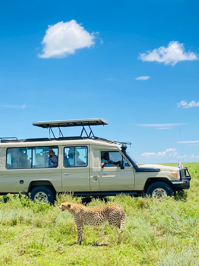 Frequently Asked Question - Feel at Home Adventures